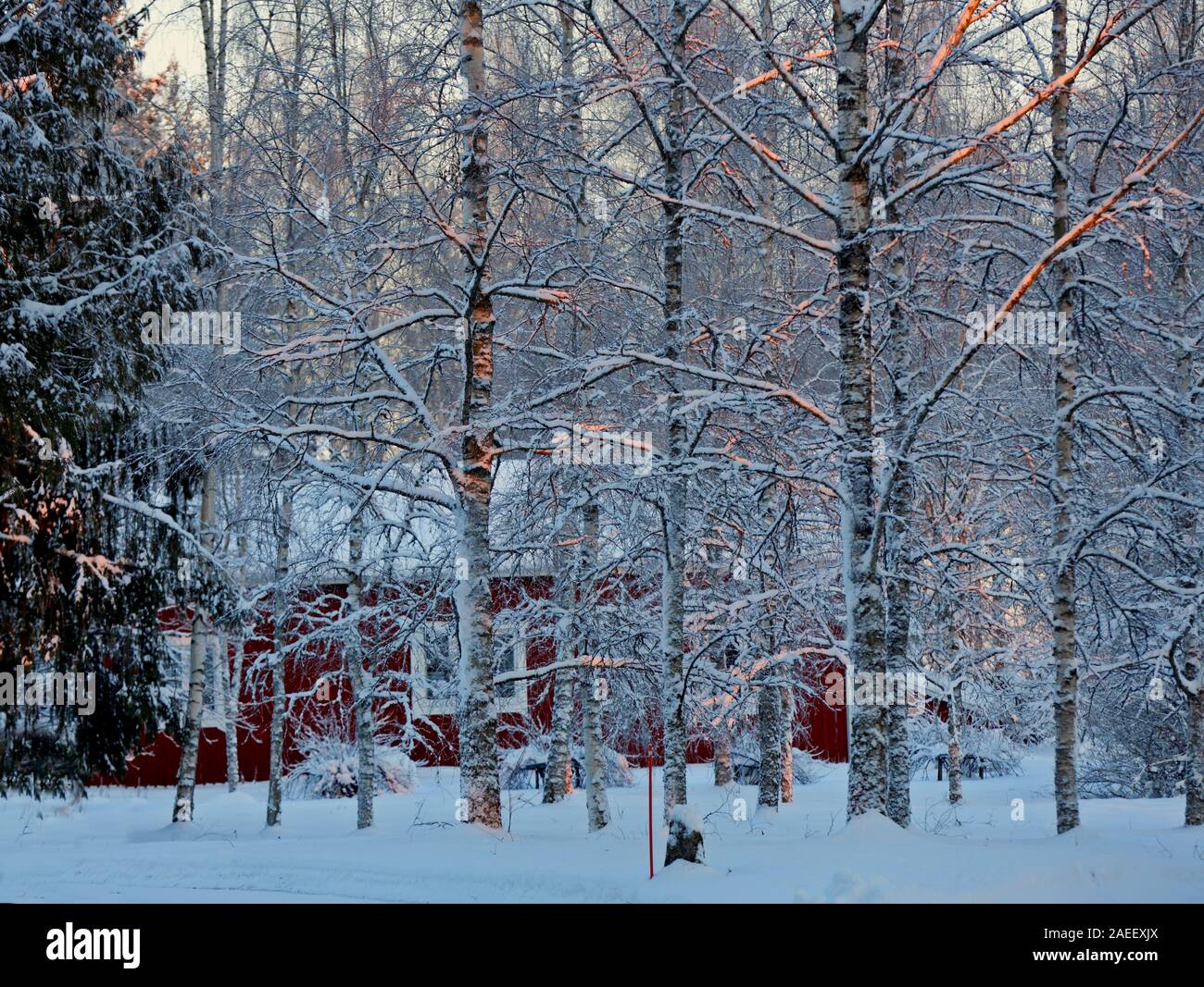 Sunny tint hi-res stock photography and images - Alamy