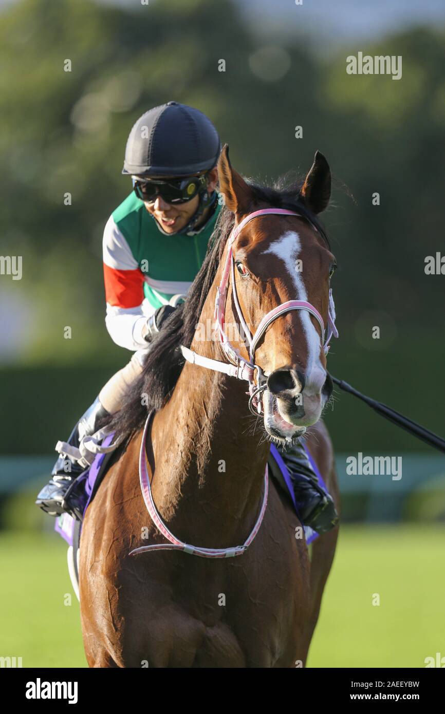 Hyogo, Japan. 8th Dec, 2019. Resistencia (Yuichi Kitamura) Horse Racing ...