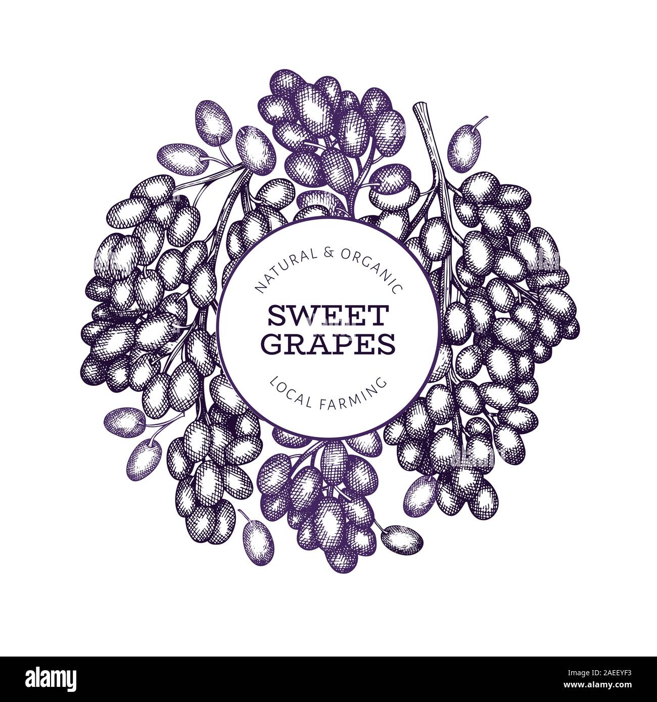 Grape design template. Hand drawn vector grape berry illustration ...