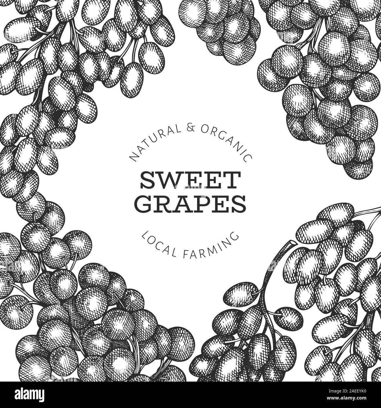 Grape design template. Hand drawn vector grape berry illustration ...