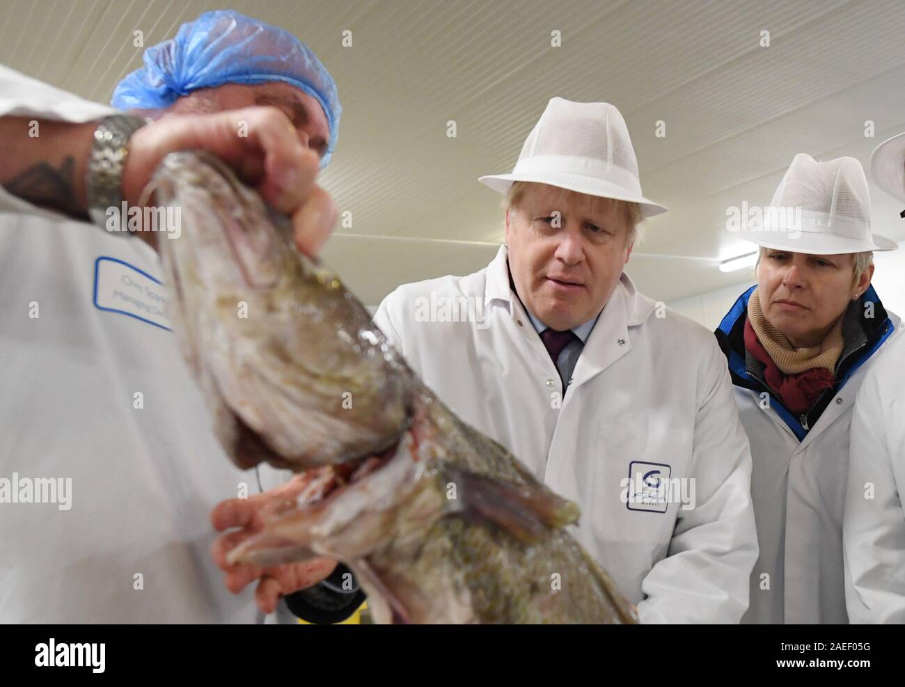 He inspects some catch during hi-res stock photography and images - Alamy