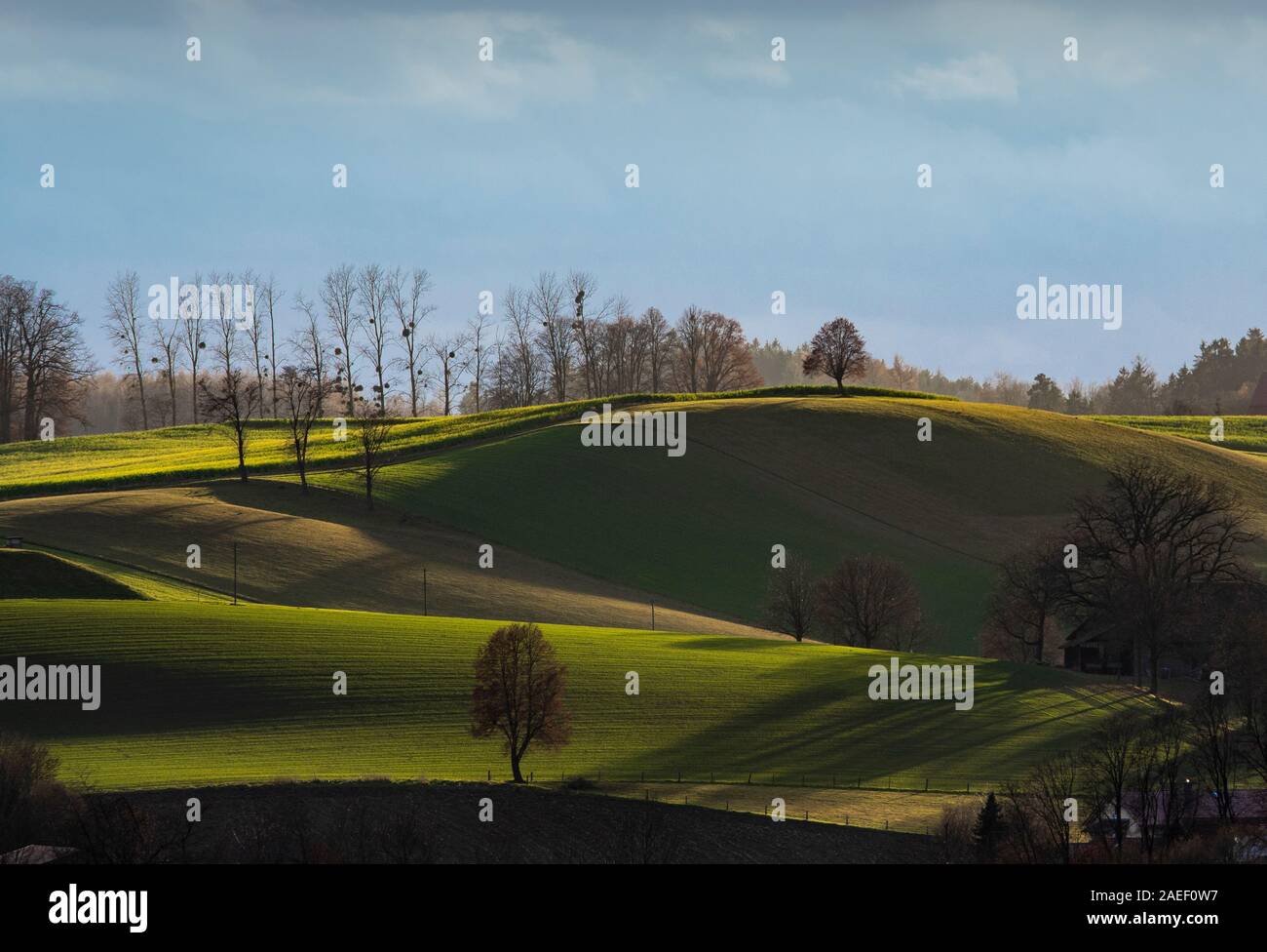 Green hills of bavaria hi-res stock photography and images - Alamy