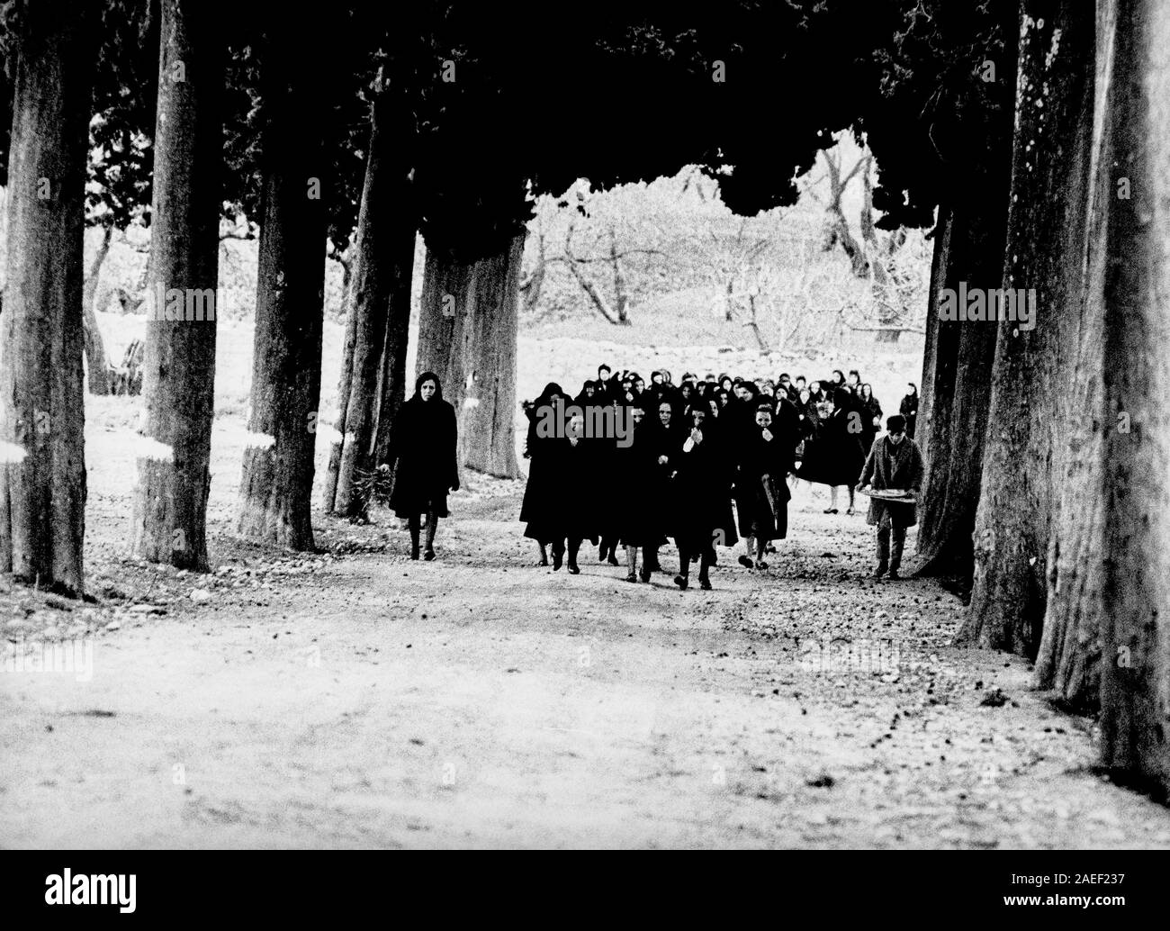 funeral of a victim of the mafia, corleone, sicily, 60s Stock Photo - Alamy