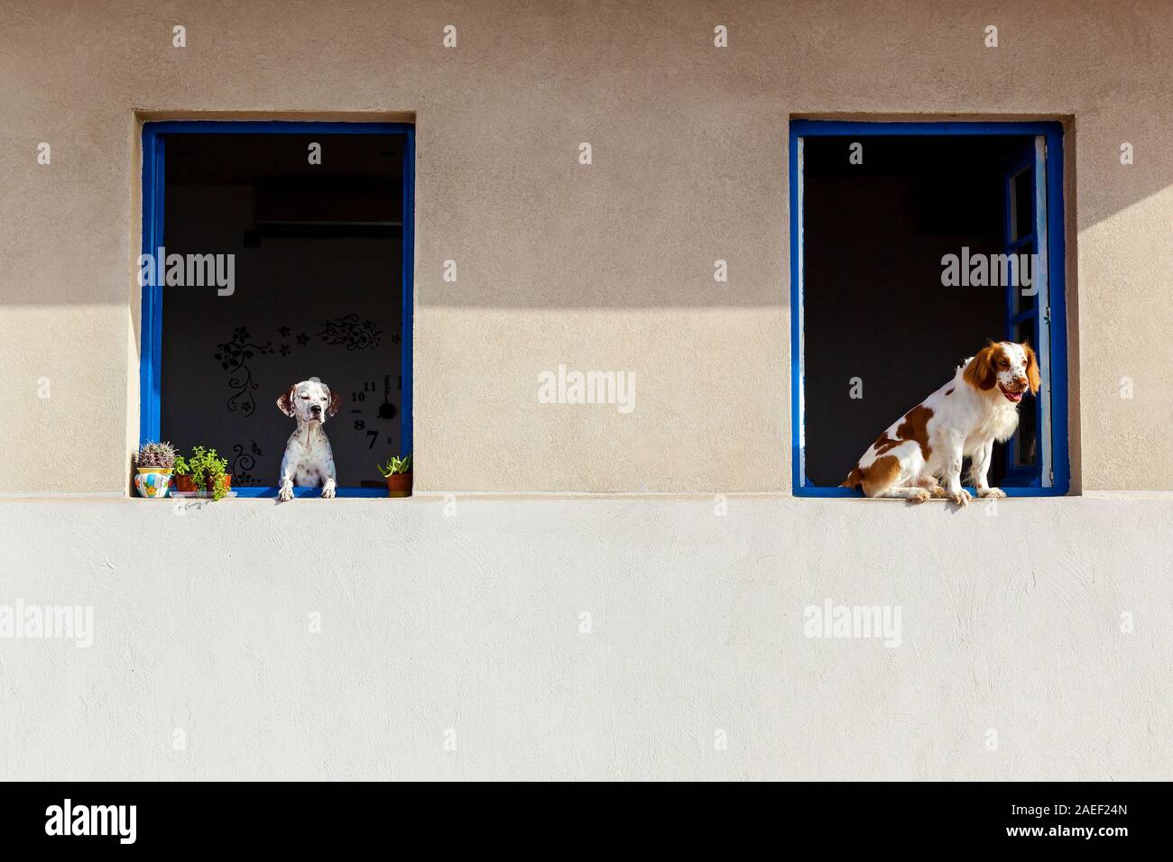 A minimalist view of the facade of the building with two big windows ...