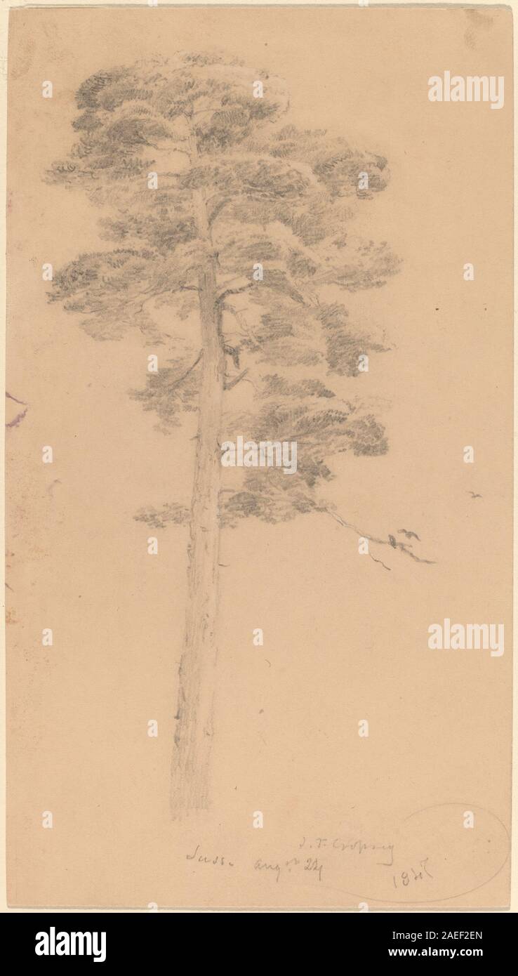 Romantic tree art hi-res stock photography and images - Alamy