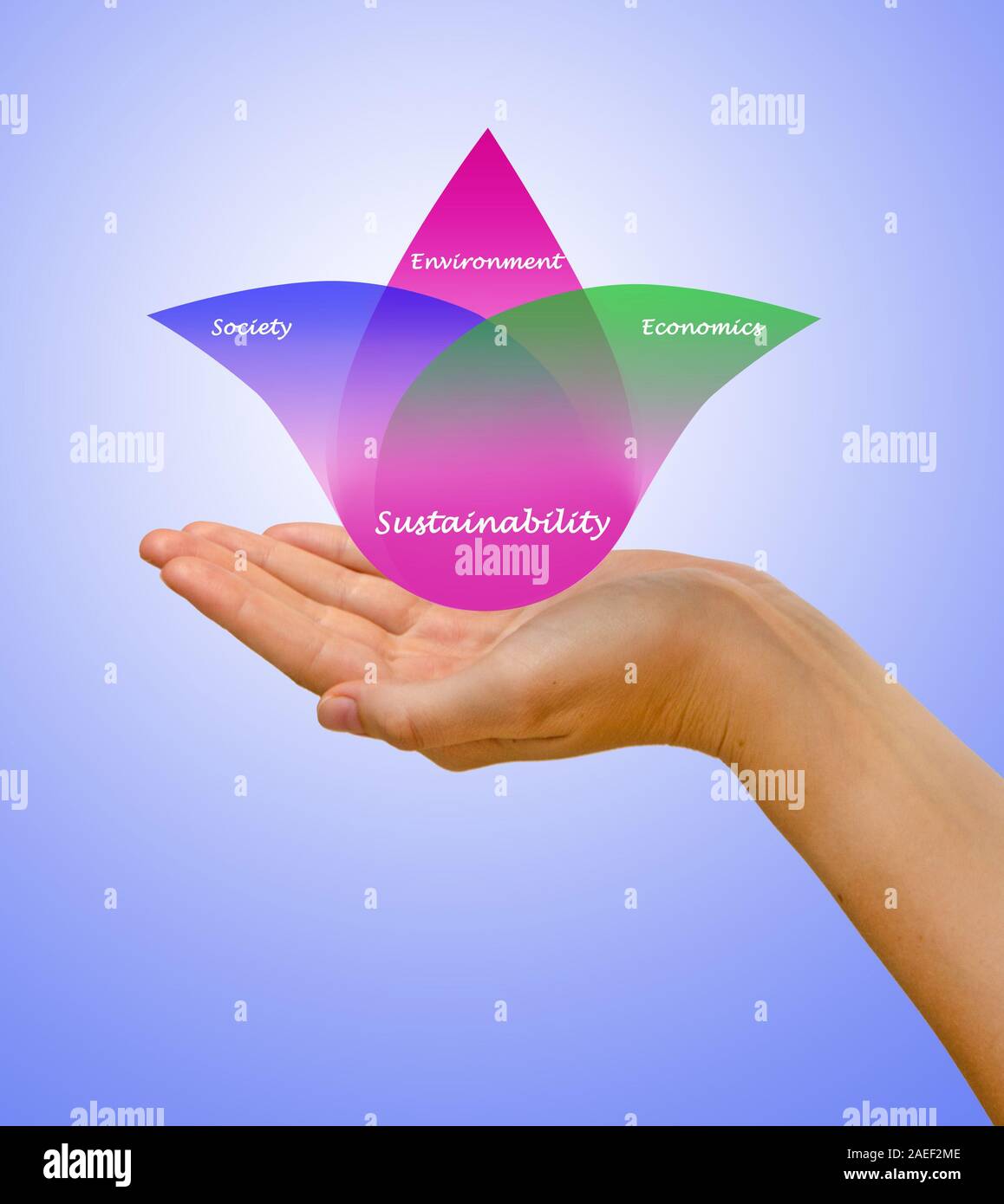 Presentation of diagram of sustainability Stock Photo - Alamy