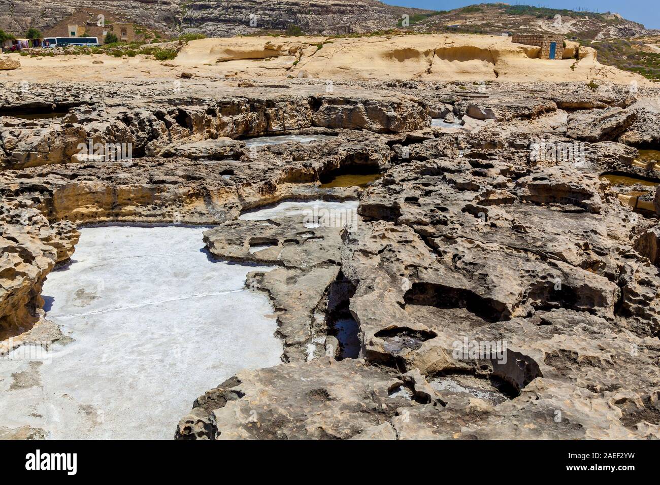 Karst rock formation on the coast of the island of Gozo Malta Stock ...