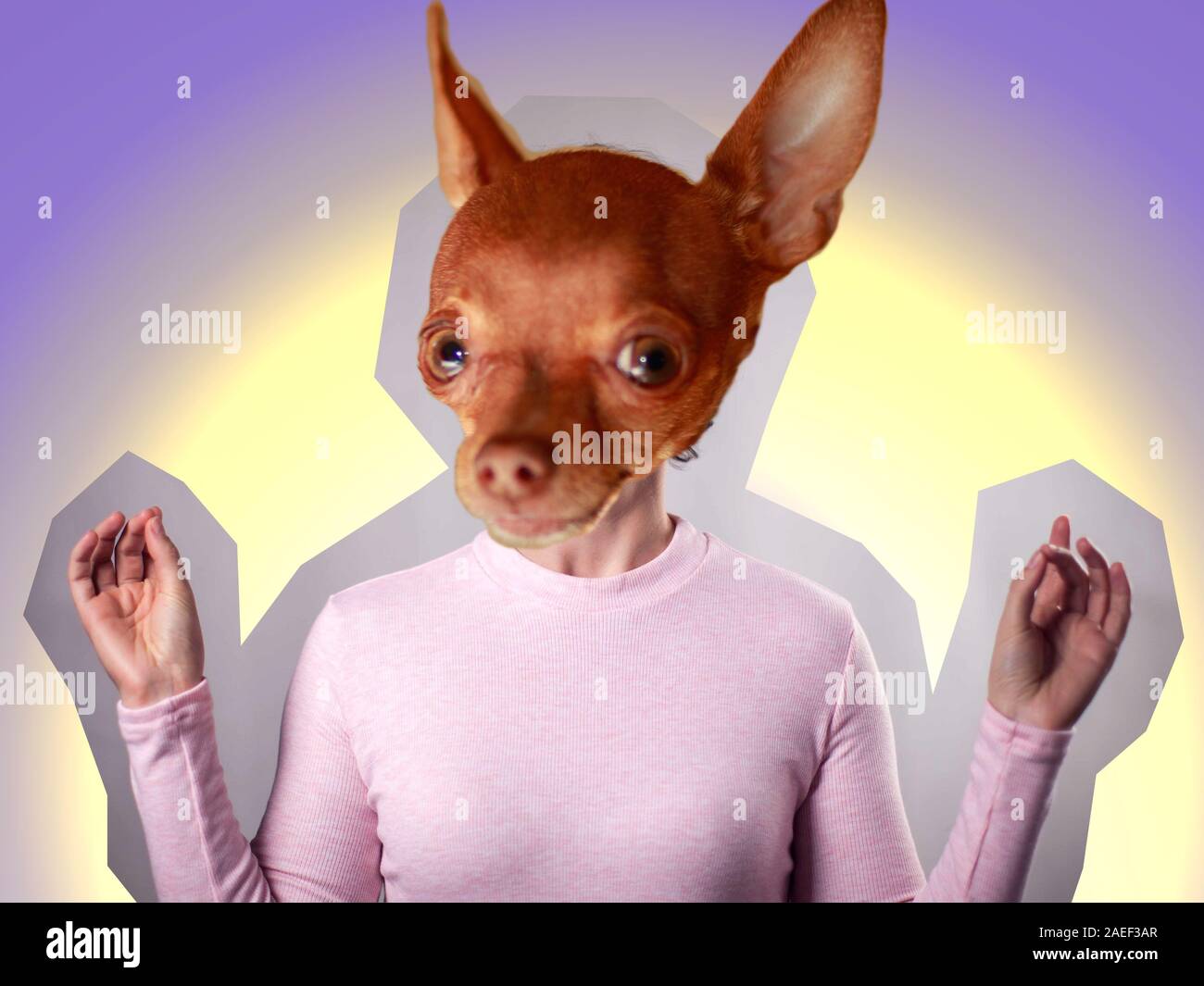 Modern art collage. Female model with dog face instead head on bright ...