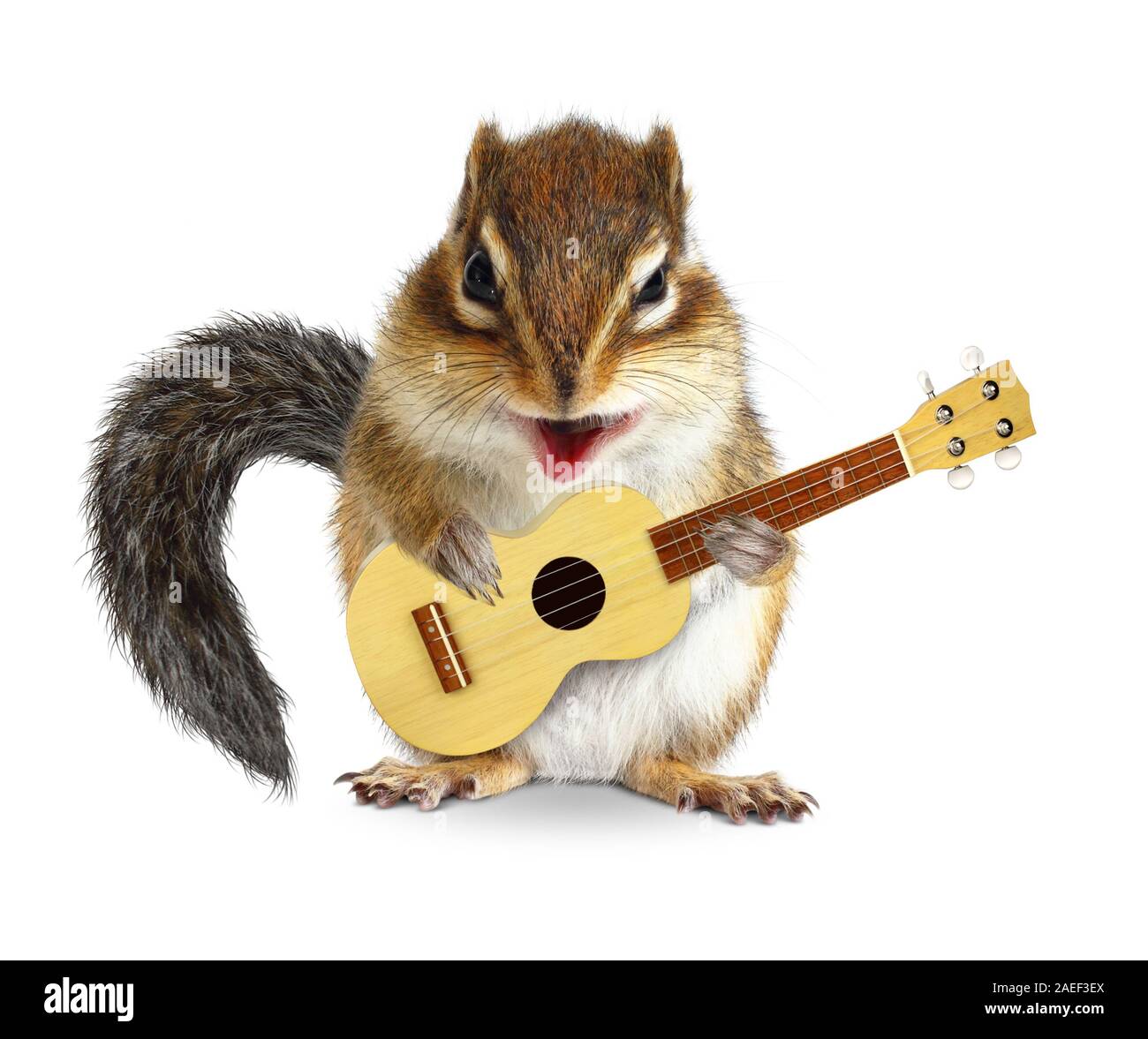 Funny noise Cut Out Stock Images & Pictures - Alamy