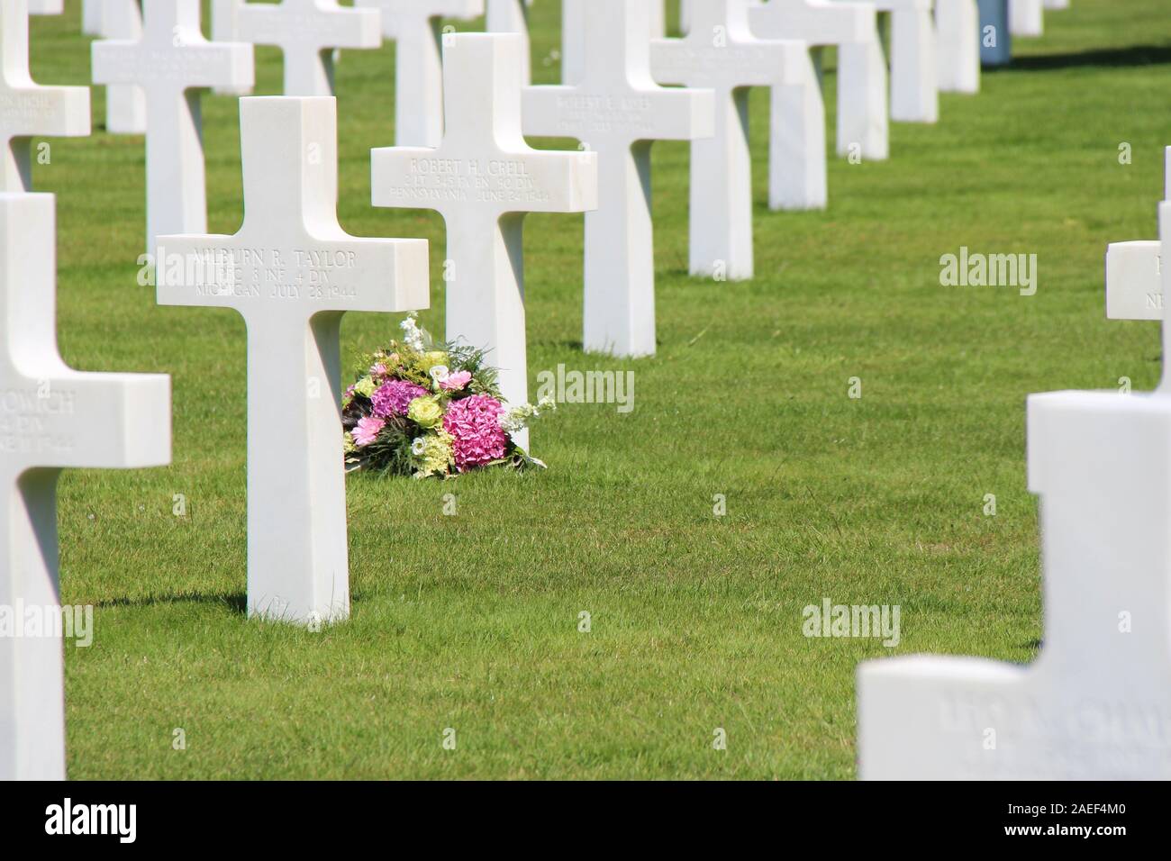 american military cemetery in normandy (france Stock Photo - Alamy