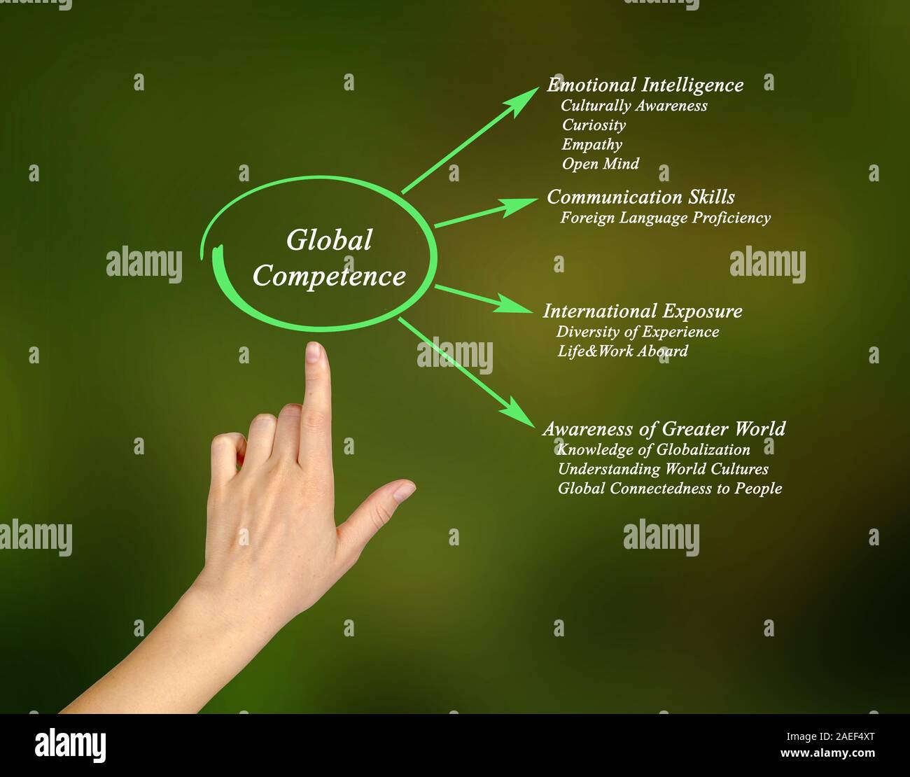 Diversity competence hi-res stock photography and images - Alamy