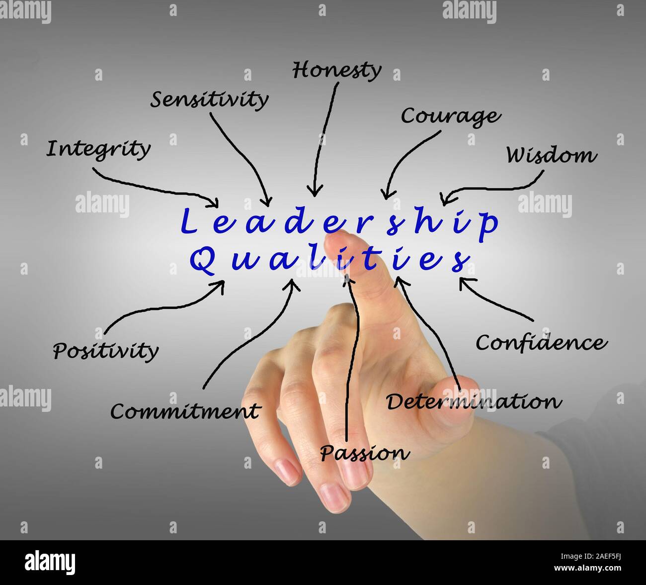 Diagram of leadership qualities Stock Photo - Alamy