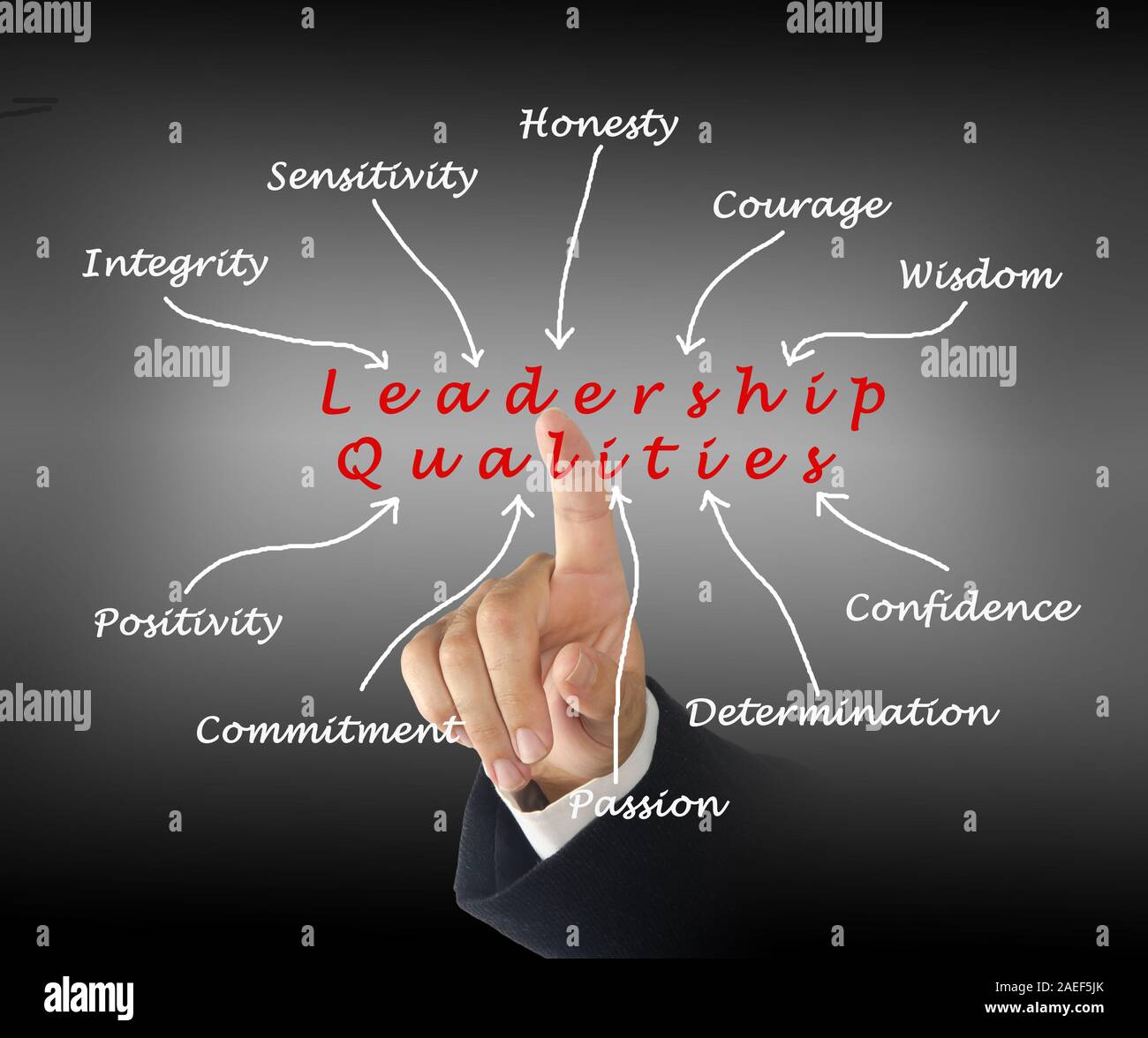 Diagram of leadership qualities Stock Photo - Alamy