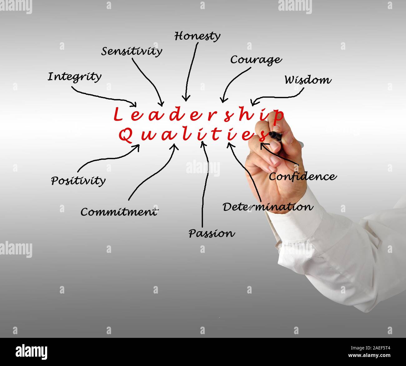 Diagram of leadership qualities Stock Photo - Alamy