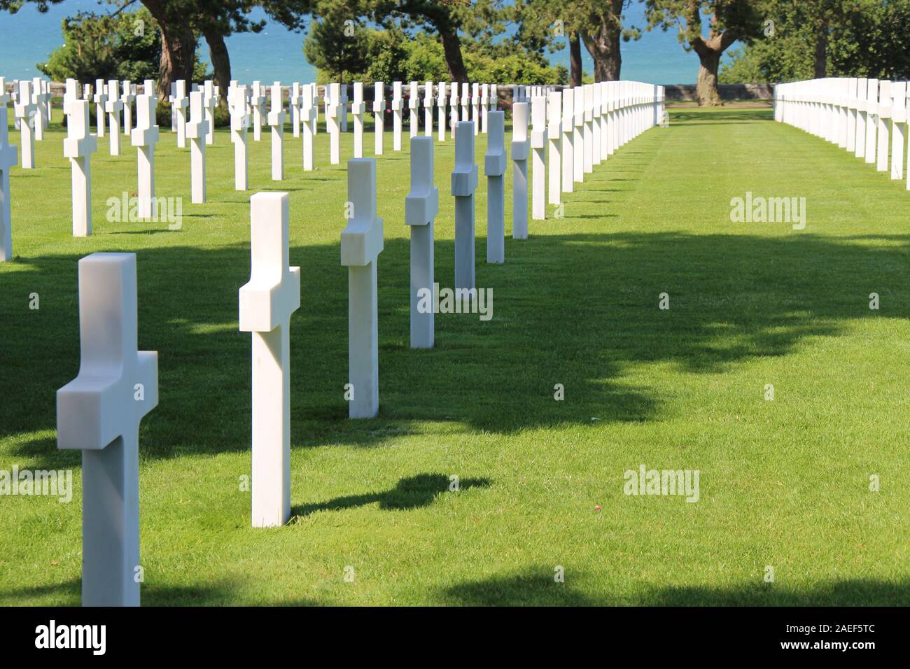 american military cemetery in normandy (france Stock Photo - Alamy