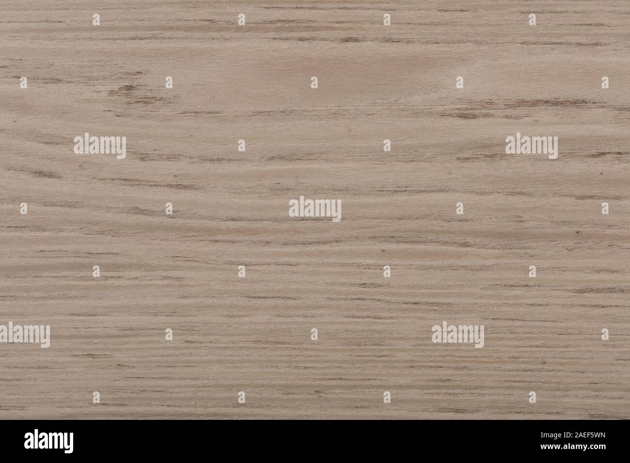 Beautiful light grey oak veneer background as part of your home project ...