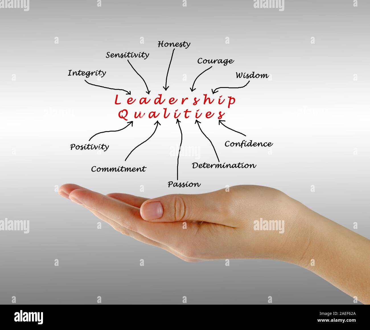 Diagram of leadership qualities Stock Photo - Alamy