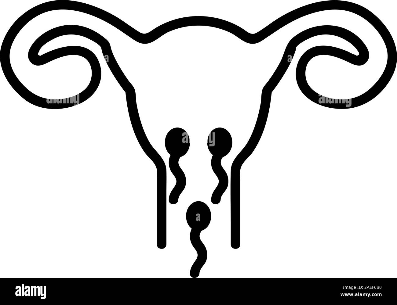 Human conception illustration Black and White Stock Photos & Images - Alamy