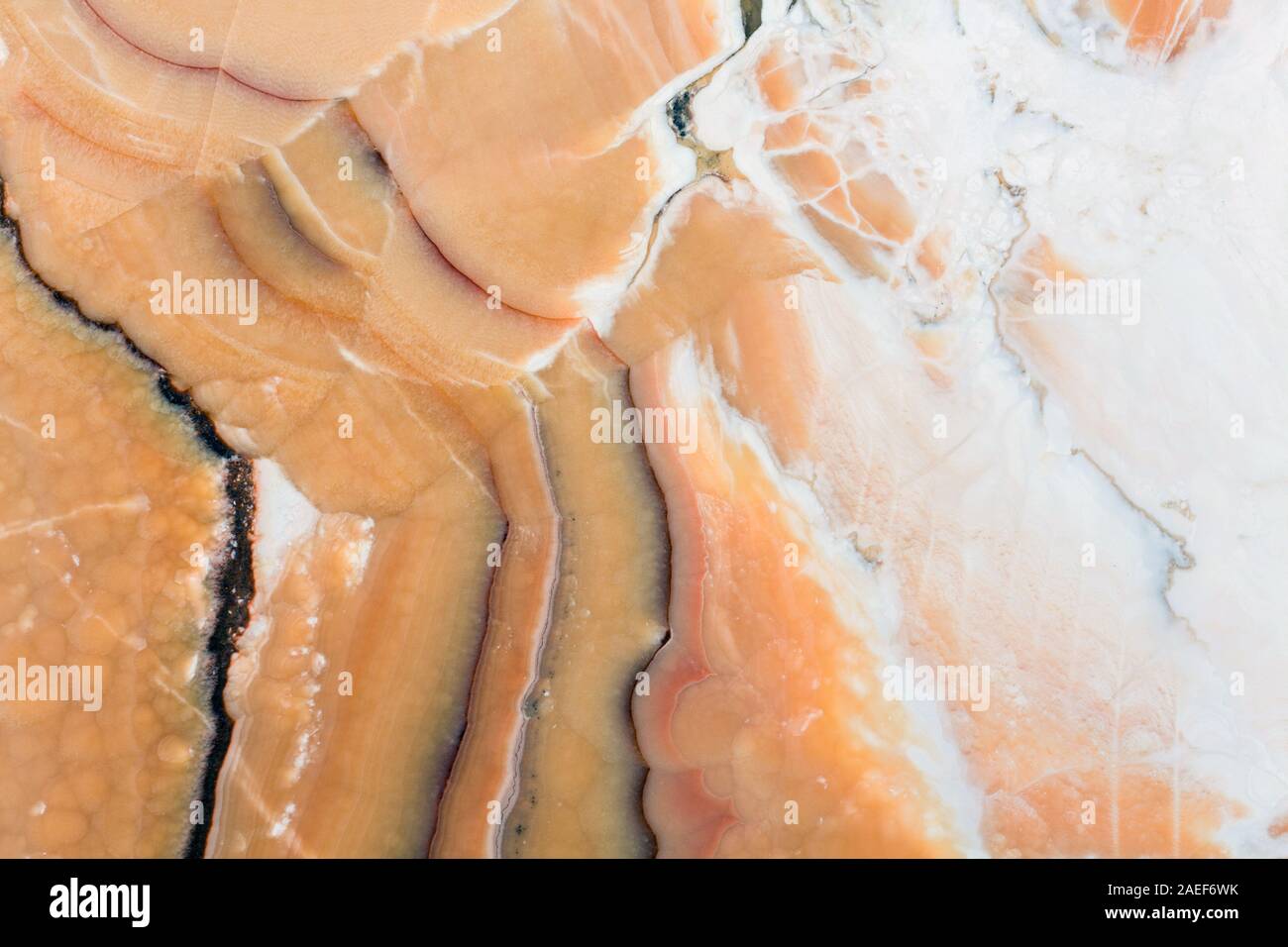 Unique texture hi-res stock photography and images - Alamy