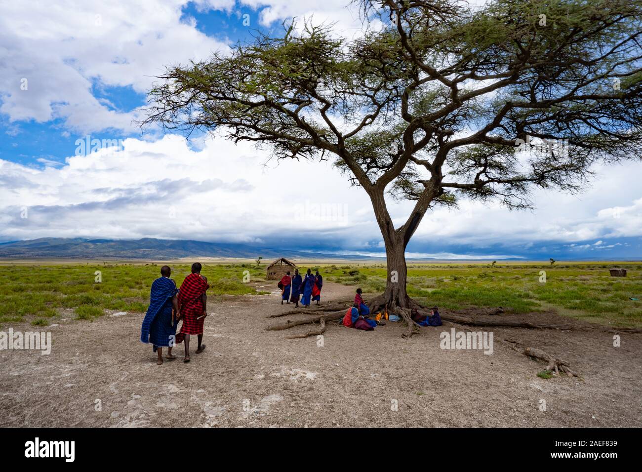 Masai Village in Tanzania Stock Photo - Alamy