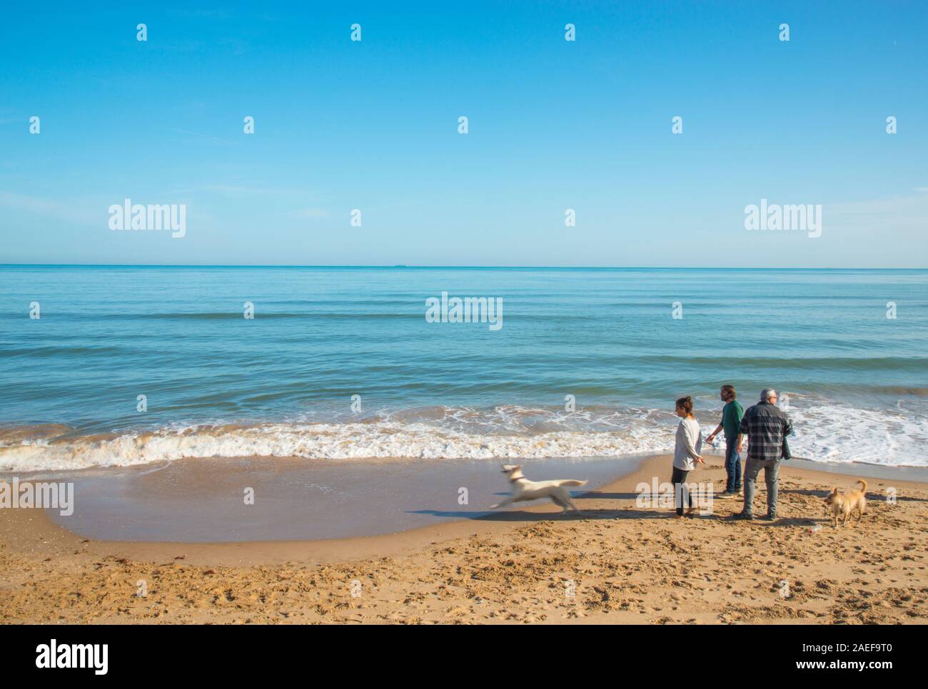 Perello hi-res stock photography and images - Alamy