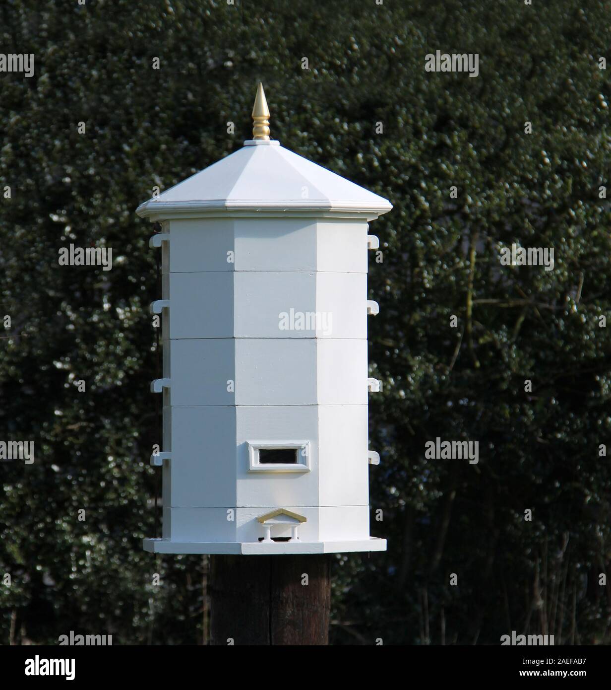 An Octagonal Wooden Stewarton Design Bee Hive Stock Photo - Alamy