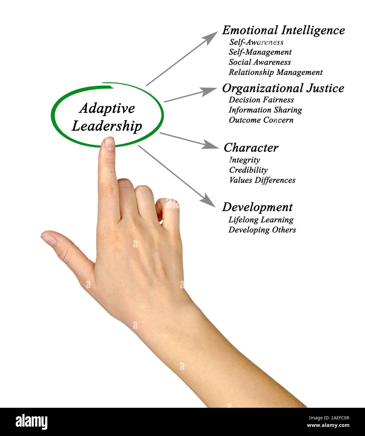 Adaptive leader development Cut Out Stock Images & Pictures - Alamy