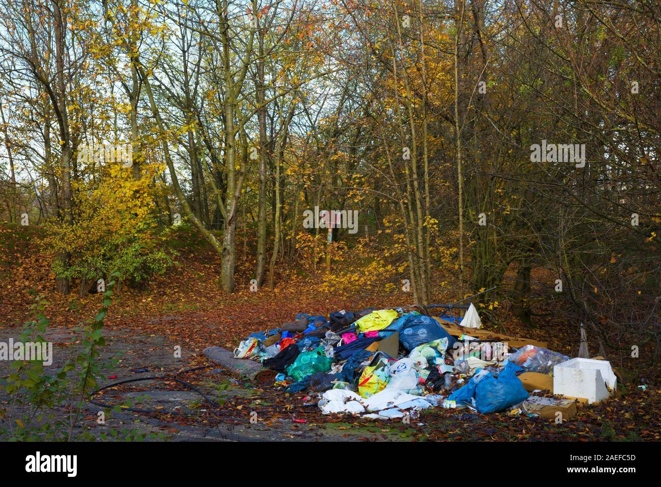 Huge pile of litter in forest german, cologne Stock Photo - Alamy