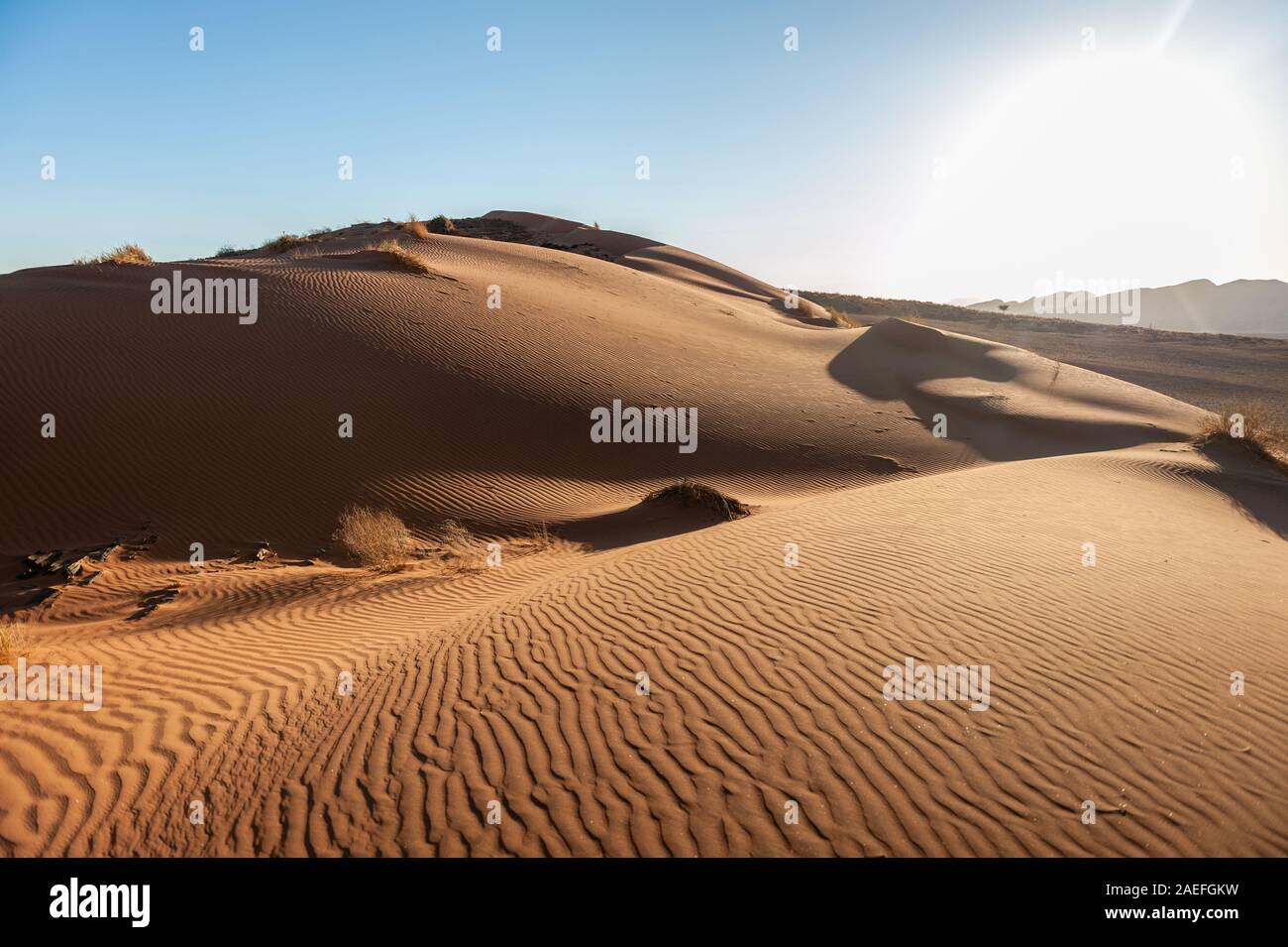 The rising sun is casting long shadows across the Dune Landscape of the ...