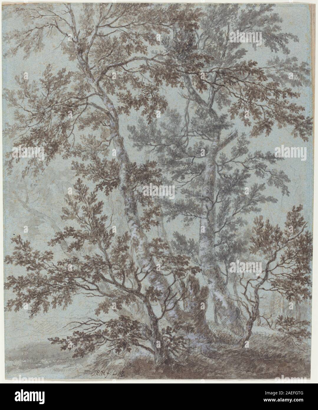 Johann Caspar Huber, A Stand of Birch Trees A Stand of Birch Trees ...