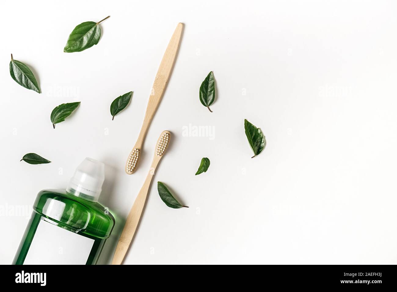 Eco Friendly Oral Care Products at Elmer Pritchard blog