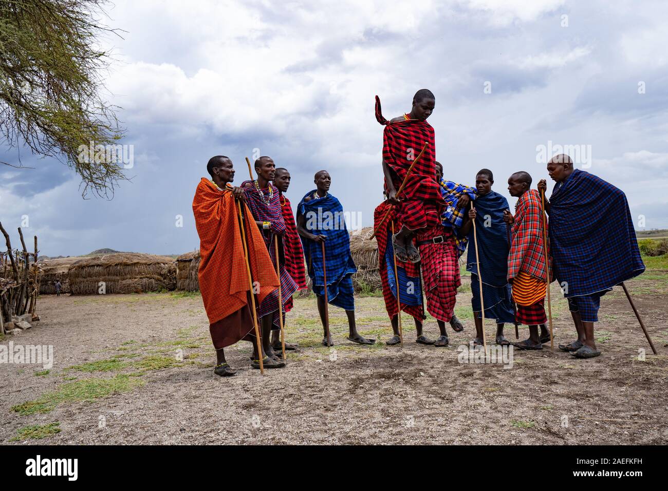 Maasai Traditional jumping dance Stock Photo - Alamy