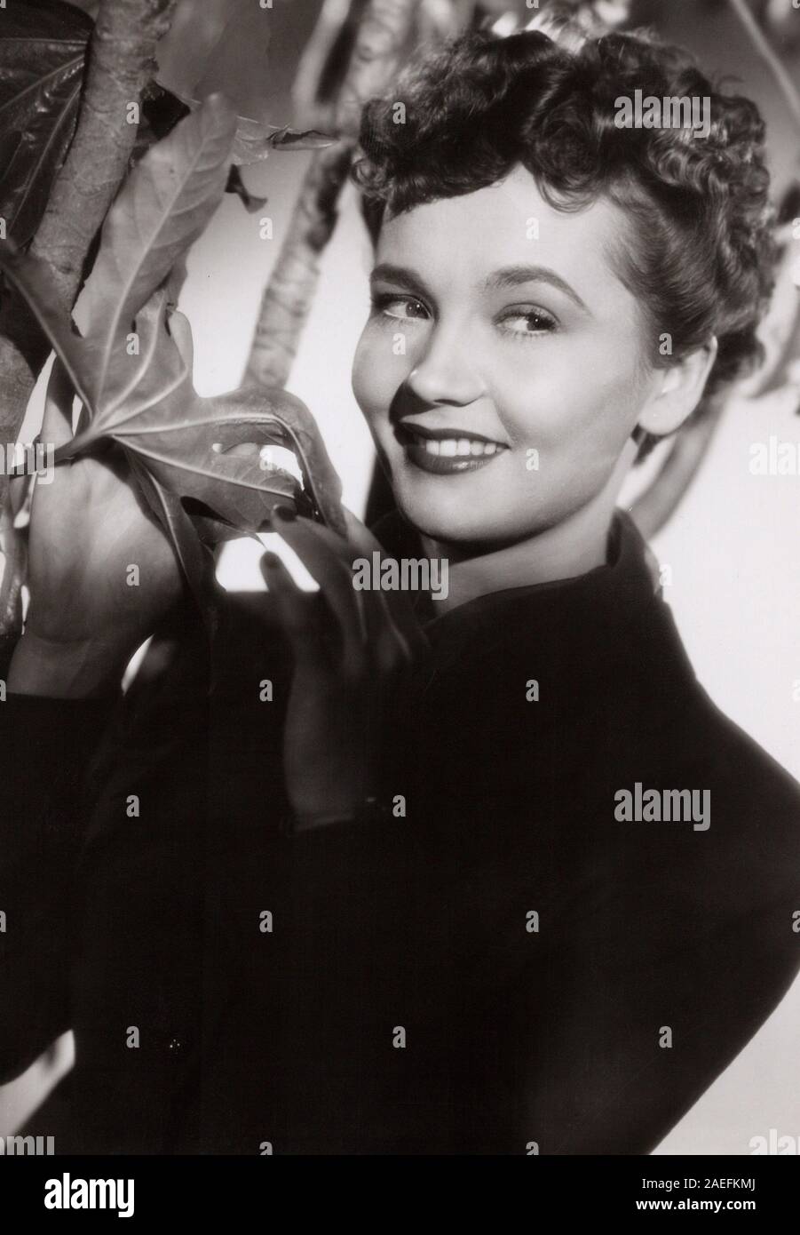 Liselotte pulver 1950s hi-res stock photography and images - Alamy