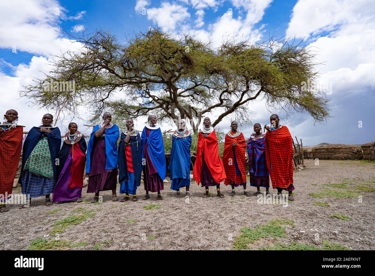 Maasai Traditional jumping dance Stock Photo - Alamy