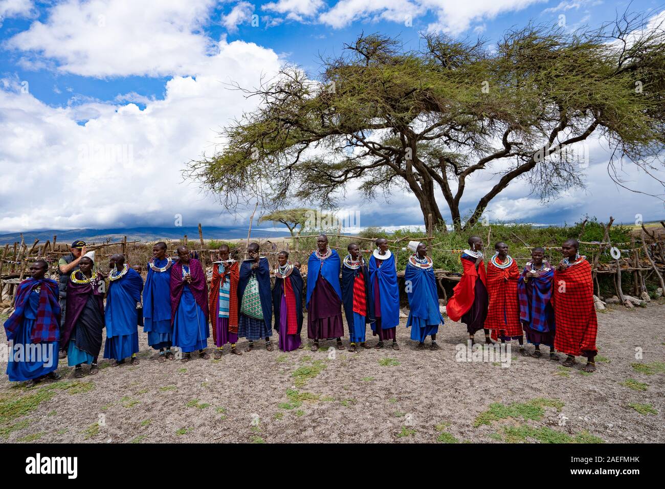 Maasai Traditional jumping dance Stock Photo - Alamy