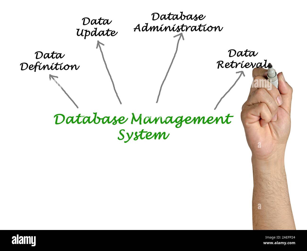 Database Administrator High Resolution Stock Photography and Images - Alamy