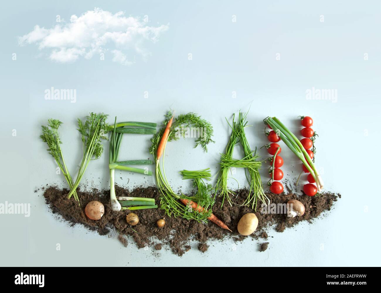 Vegan letters made from organic fruits and vegetables growing in a ...