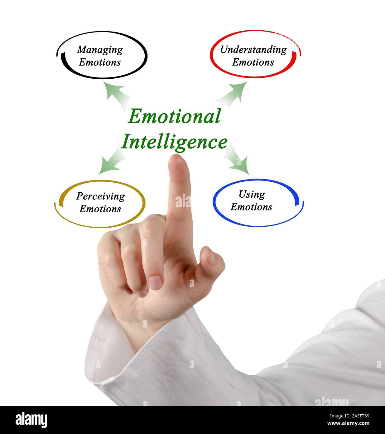 Diagram of emotional intelligence Stock Photo - Alamy