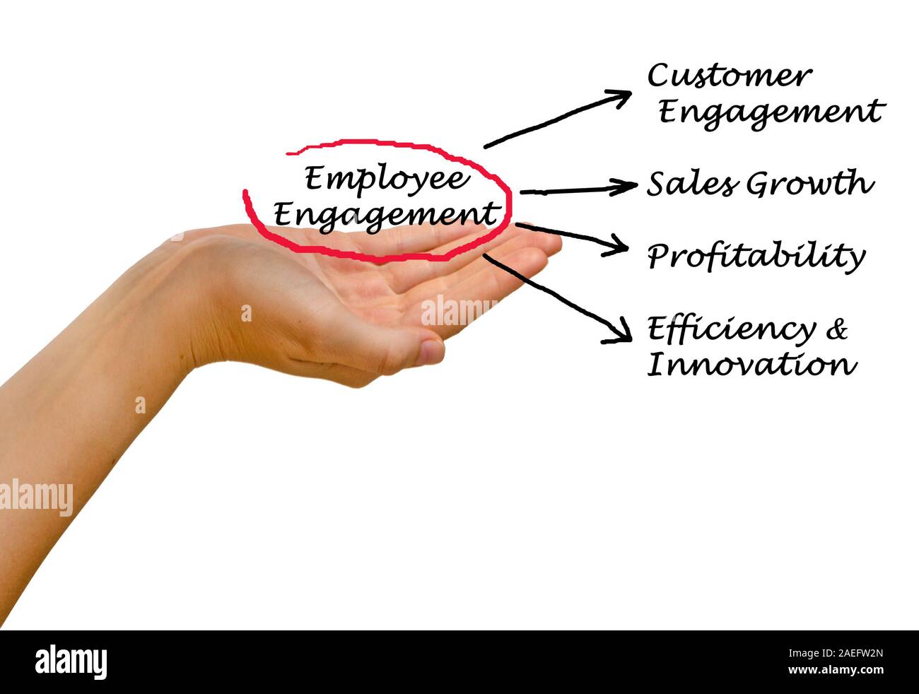 Employee engagement hi-res stock photography and images - Alamy