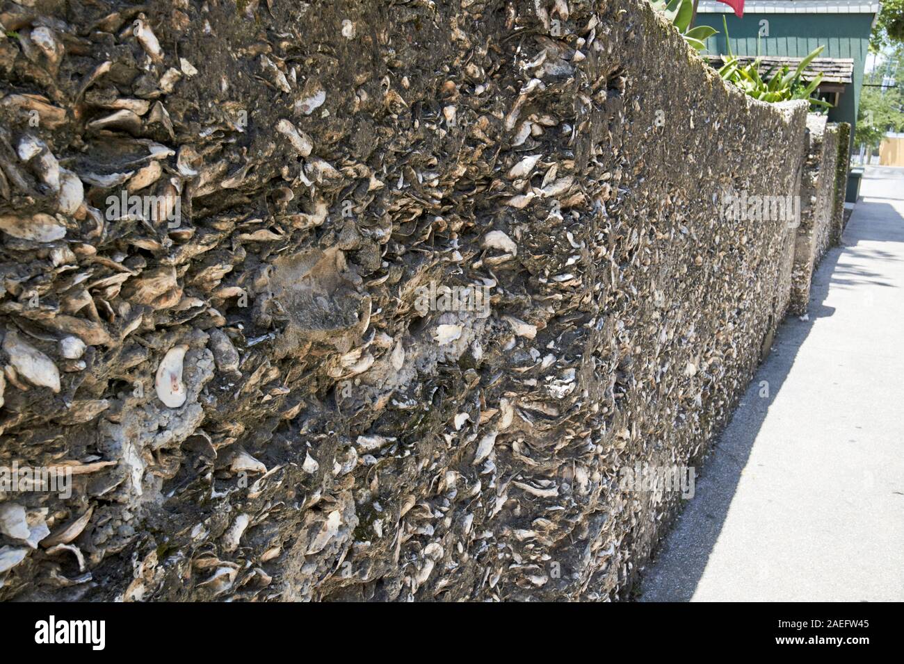 Oyster shell concrete hi-res stock photography and images - Alamy