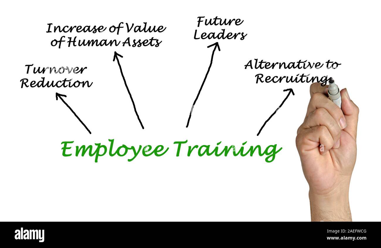 Staff training Cut Out Stock Images & Pictures - Alamy