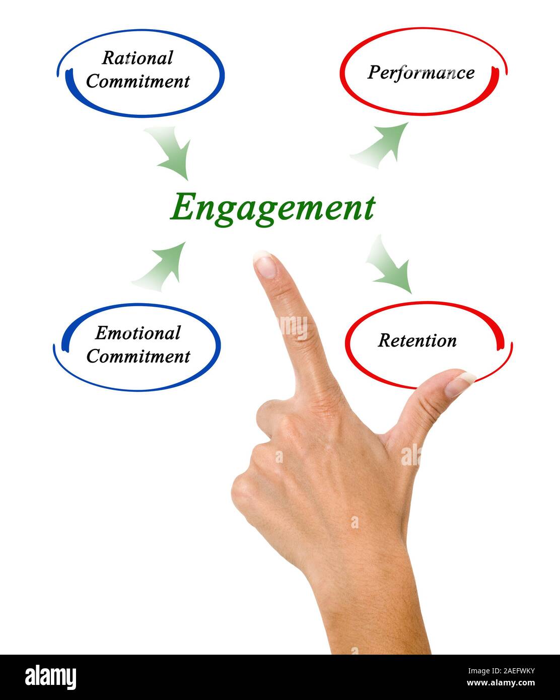 Diagram of Engagement Stock Photo - Alamy