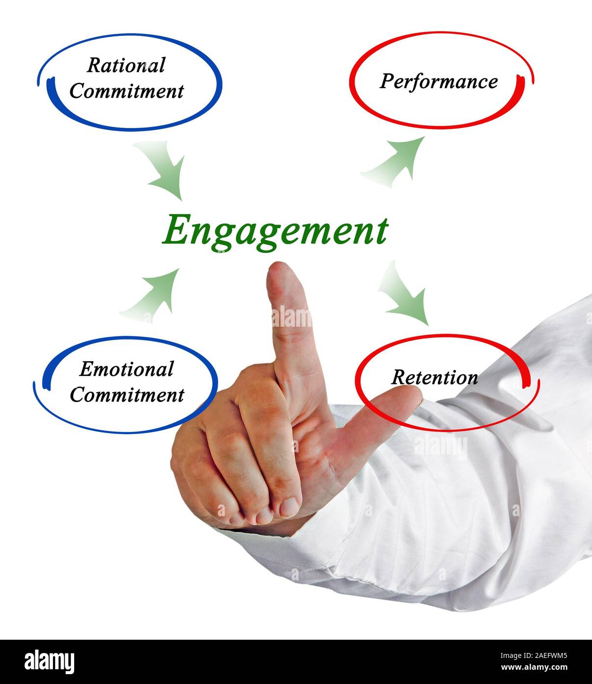 Diagram of Engagement Stock Photo - Alamy