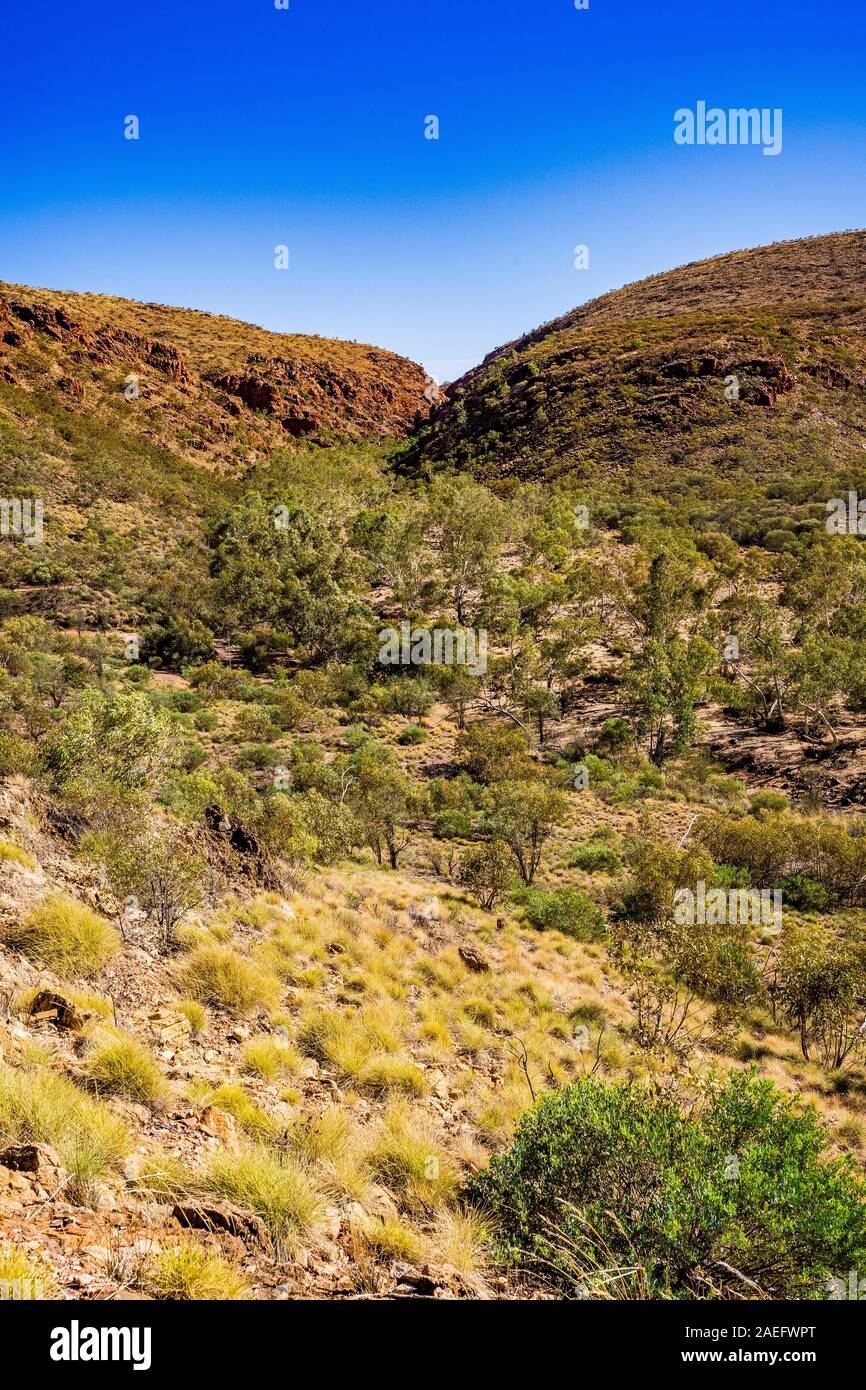 Redbank Gorge is a gap in the West MacDonnell Ranges in the Northern ...