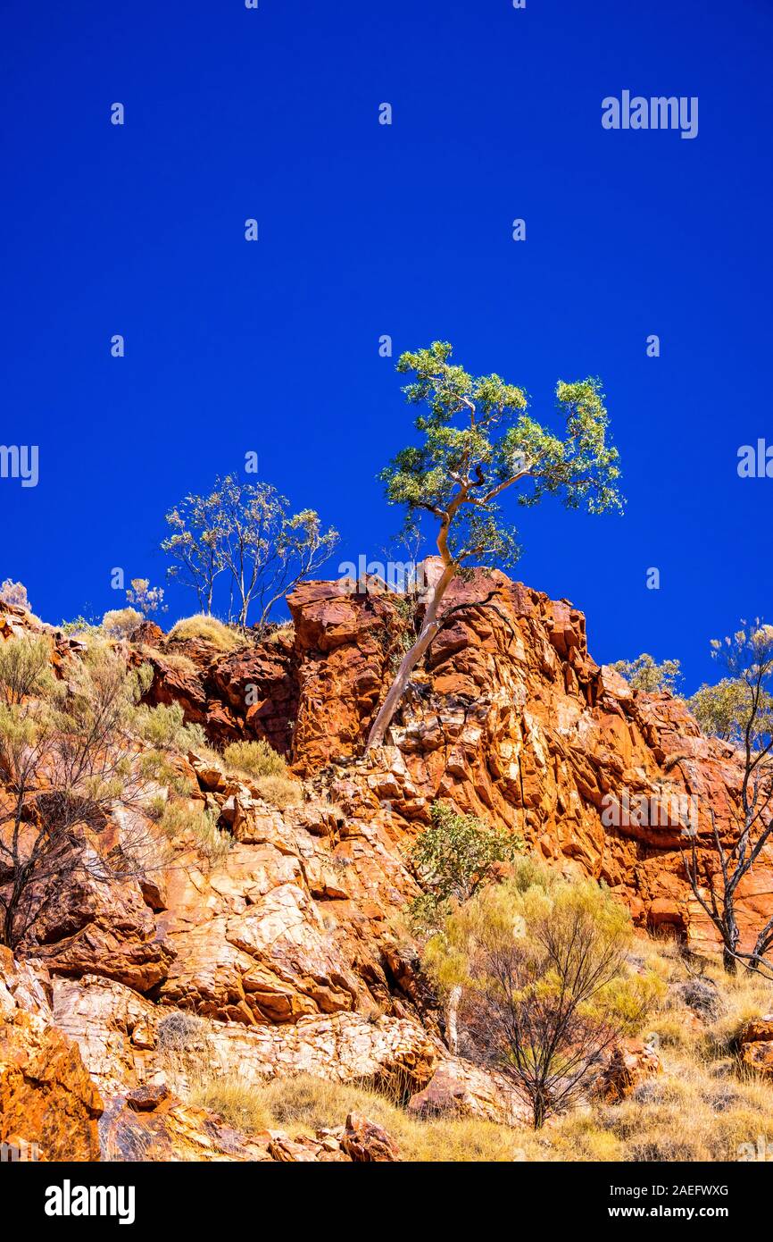 The colourful Redbank Gorge is a gap in the West MacDonnell Ranges in ...