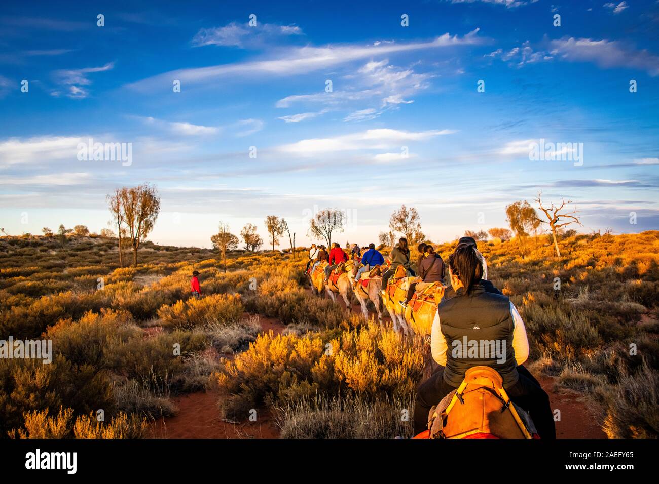 Camel ride in national park hi-res stock photography and images - Alamy