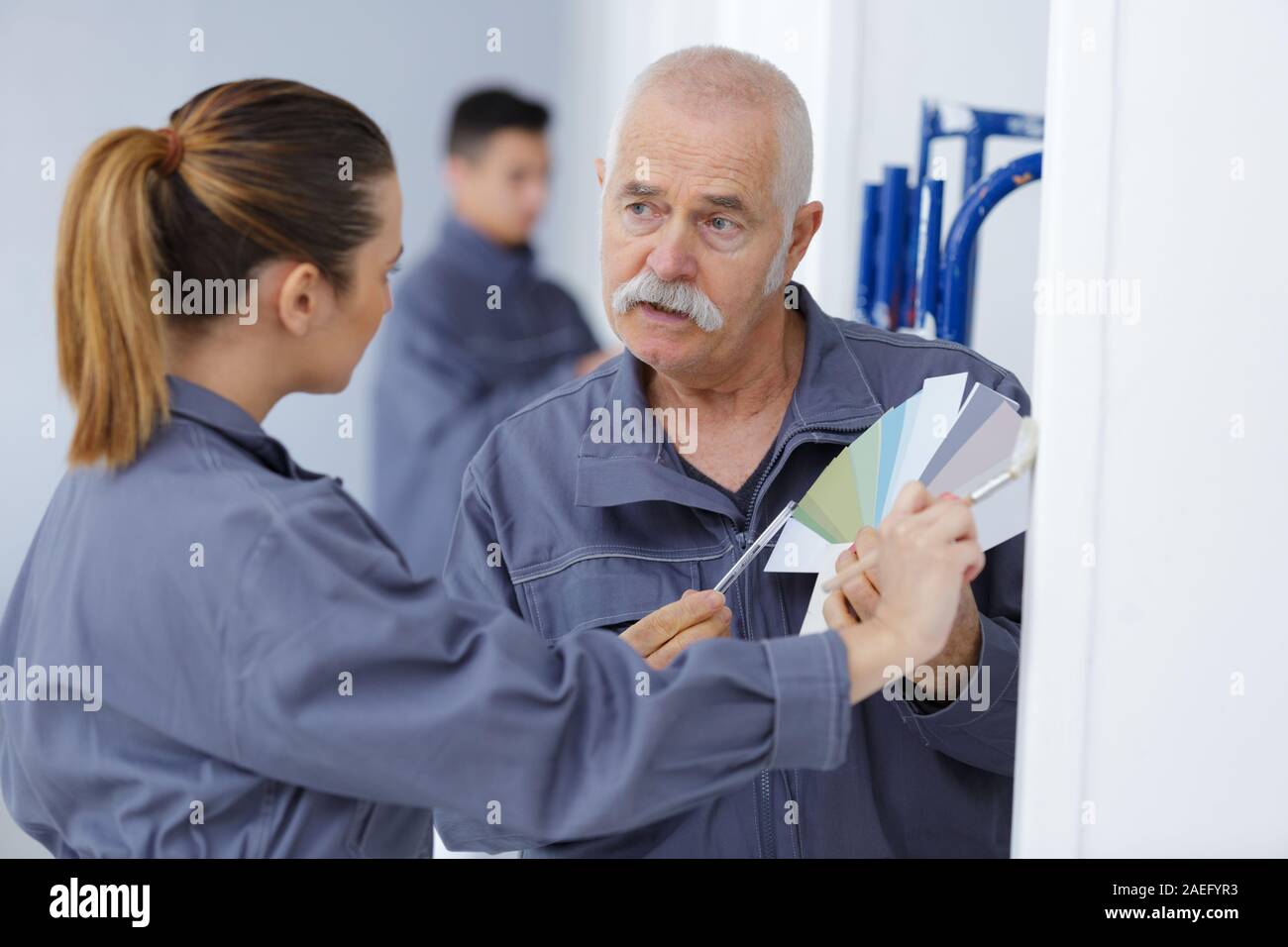 professional painter showing a set of color swatches Stock Photo - Alamy