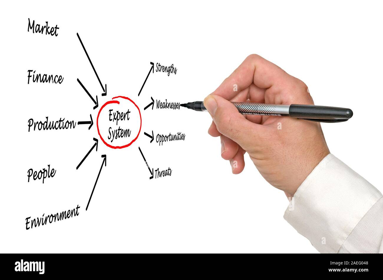 Diagram of expert system Stock Photo - Alamy