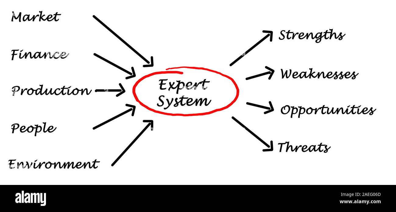 Diagram of expert system Stock Photo - Alamy