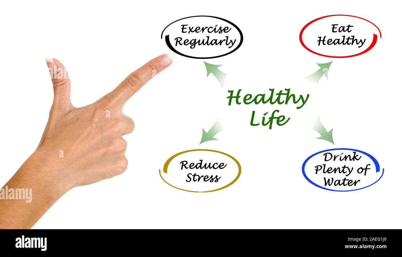 Diagram of healthy life Stock Photo - Alamy